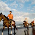 Horse Riding Experience on Black Sand Beach Bali - The Practicalities: Transportation, Safety, and Comfort