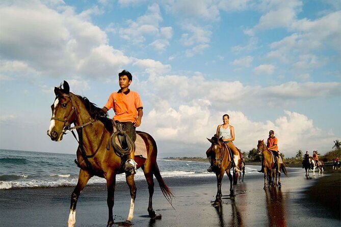 Horse Riding Experience on Black Sand Beach Bali - The Practicalities: Transportation, Safety, and Comfort