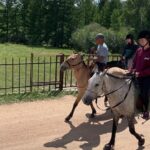 Horse riding in Terelj National Park - Practical Aspects and Pricing Analysis