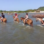 Horse Riding Puerto Plata - Who Should Consider This Tour?