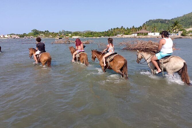 Horse Riding Puerto Plata - Who Should Consider This Tour?