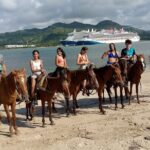 Horse Tours on the Beach and Mountains in Puerto Plata - Who Is This Tour Best For?