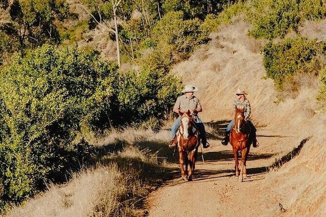 Horse Trail and Canyon Group Ride on Catalina Island - A Closer Look at the Catalina Island Horseback Ride