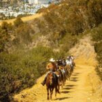 Horse Trail Overlook Group Ride on Catalina Island - A Closer Look at the Catalina Island Horseback Ride