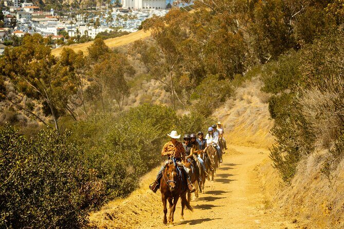 Horse Trail Overlook Group Ride on Catalina Island - A Closer Look at the Catalina Island Horseback Ride