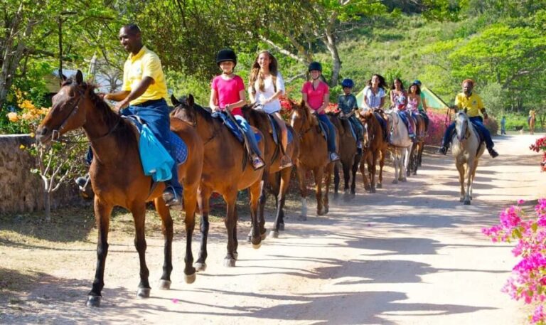 Horseback Ride and Swim Excursion - Who Will Love This Tour?