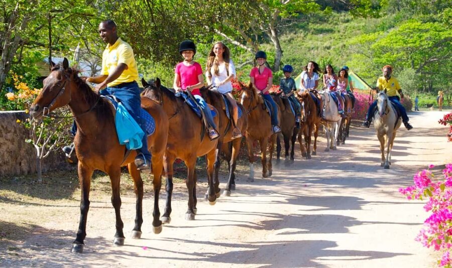 Horseback Ride and Swim Excursion - Who Will Love This Tour?