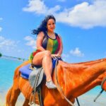 Horseback Ride and Swim Experience Montego with Transportation - The Value of This Experience