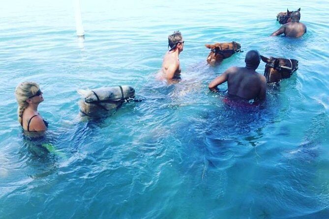 Horseback Ride and Swim From Ocho Rios - Final Thoughts: Is It Worth It?