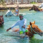 Horseback Ride and Swim Jamaica - Why You Should Consider This Tour