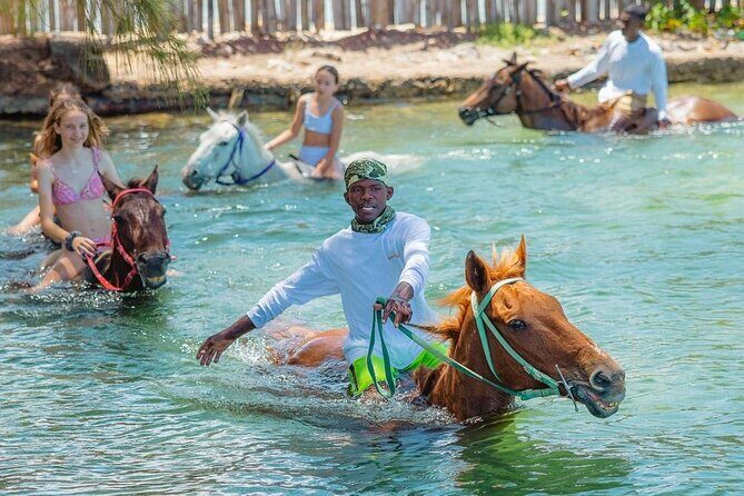 Horseback Ride and Swim Jamaica - Why You Should Consider This Tour