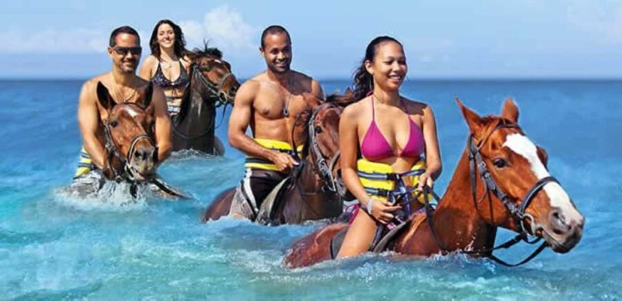 Horseback Ride and Swim Ocho Rios: Jam West Hanover - What Makes This Tour Stand Out?