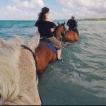 Horseback Ride and Swim Plus Dunns River from Montego Bay - What’s Included and What’s Not
