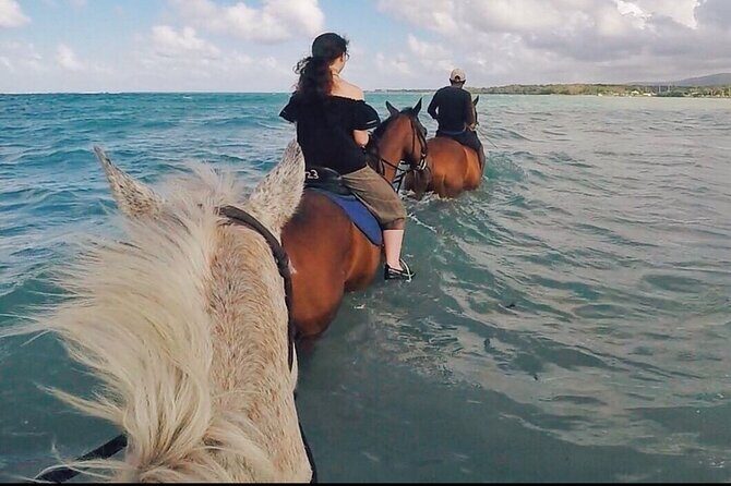 Horseback Ride and Swim Plus Dunns River from Montego Bay - What’s Included and What’s Not