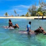 Horseback Ride and Swim Private Tour In Montego Bay - The Practical Details