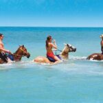 Horseback Ride, City Highlight Tour Ocho Rios(Entry fee included) - What to Expect at Each Stop