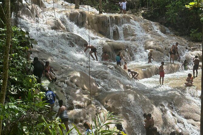 Horseback ride Dunns River and Blue hole with transport included - The Practical Details