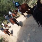 Horseback Ride for 2 or more - The Value for Money