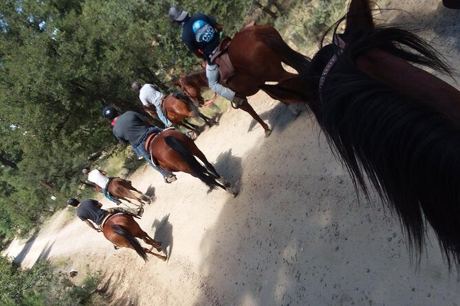 Horseback Ride for 2 or more - The Value for Money