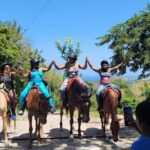 Horseback Ride from Ocho Rios - Who is This Tour Best For?