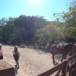 Horseback ride n Swim - Final Thoughts: Who Should Consider This Tour?