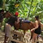 Horseback 'Ride N Swim' & Dunns River Falls from Montego Bay - Exploring the Itinerary in Detail