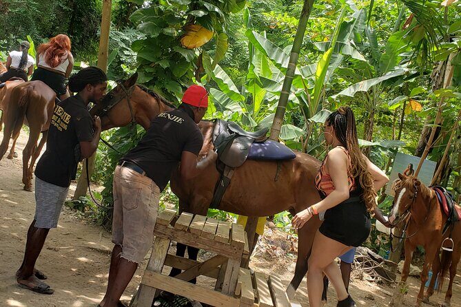 Horseback 'Ride N Swim' & Dunns River Falls from Montego Bay - Exploring the Itinerary in Detail