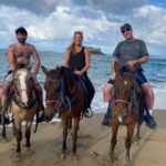 Horseback Ride Tour on the Beach in Puerto Plata - The Sum Up