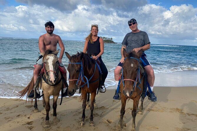 Horseback Ride Tour on the Beach in Puerto Plata - The Sum Up
