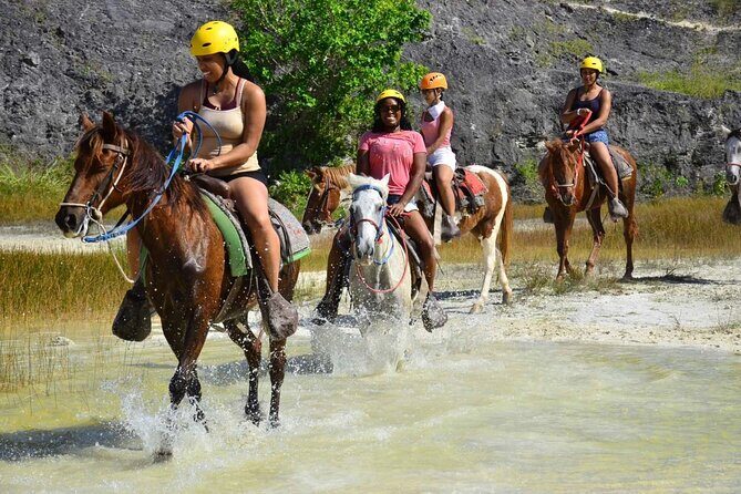 Horseback Riding Adventure in Punta Cana - The Experience’s Highlights and Drawbacks