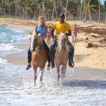 Horseback Riding Adventure Punta Cana - The Practicalities: Price, Duration, & Group Size