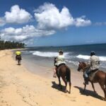 Horseback Riding Adventure to Macao Alto Beaches in Punta Cana - What’s Included and Why It Matters