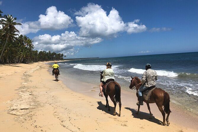 Horseback Riding Adventure to Macao Alto Beaches in Punta Cana - What’s Included and Why It Matters