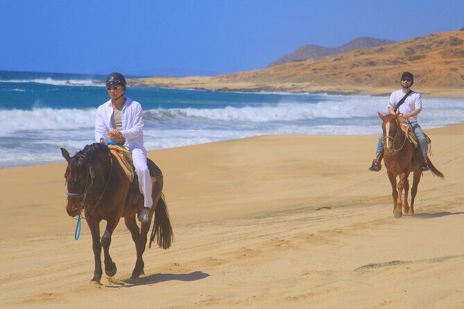 Horseback Riding Adventure y Tequila Tasting in Los Cabos - The Itinerary: Whats Included and What to Expect