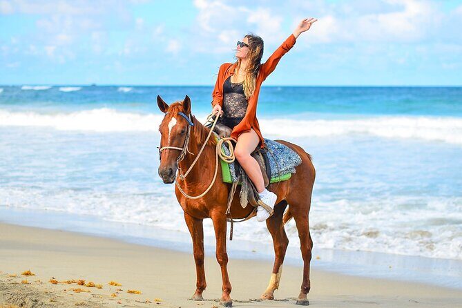 Horseback Riding along Macao Beach with Transportation - The Sum Up