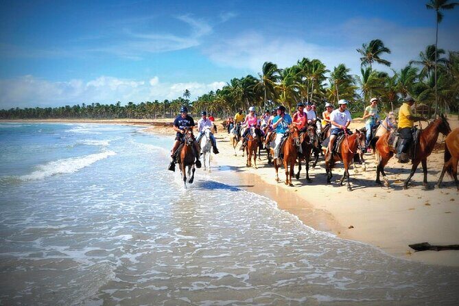Horseback Riding along the Beach - Who Will Love This Tour?