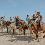 Horseback Riding and Natural Pool Adventure in Aruba - The Itinerary: What to Expect