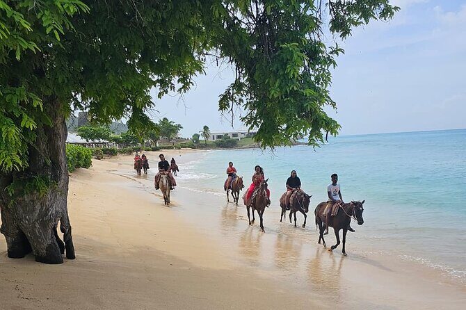 Horseback Riding at Hawksbill Beach in Five islands Antigua - The Sum Up