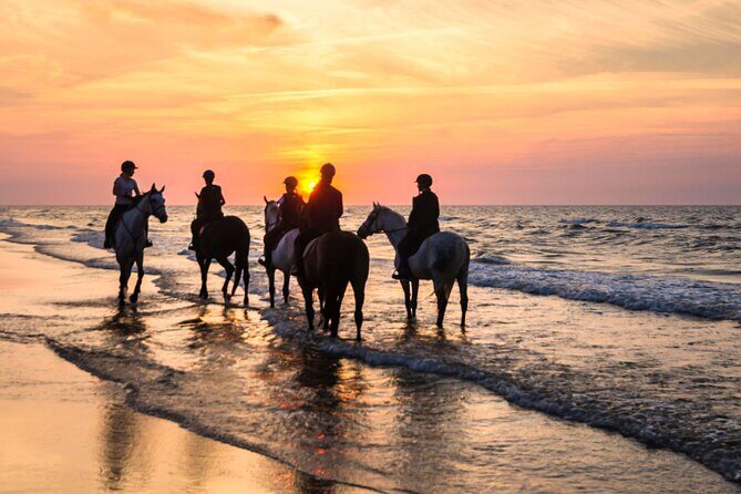 Horseback Riding Beach - Authentic Experiences and Authenticity