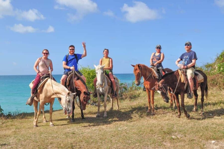 Horseback riding, coffee, chocolate tasting and Macao beach - What You Can Expect from This Tour
