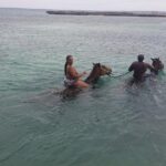 Horseback Riding Dunn's River Falls Adventure from Montego Bay - Who Should Consider This Tour?