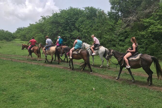 Horseback Riding Experience - Who Will Love This Tour?