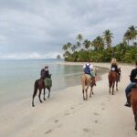 Horseback Riding on Punta Cana Beach with Transportation - Who Should Consider This Tour?