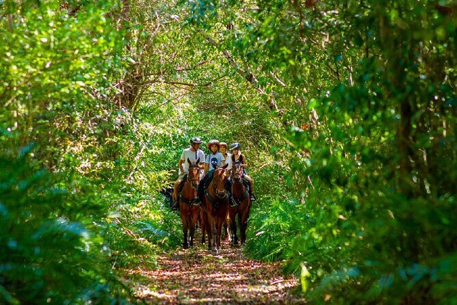 Horseback Riding on the Beach Free Transportation - The Itinerary: What to Expect