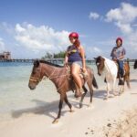 Horseback Riding on the Beach in Punta Cana (One Hour) - Who Will Love This Experience?