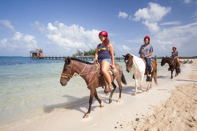 Horseback Riding on the Beach in Punta Cana (One Hour) - Who Will Love This Experience?