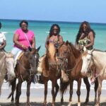 Horseback Riding on the Beaches of Punta Cana - Final Thoughts: Who is this tour best for?