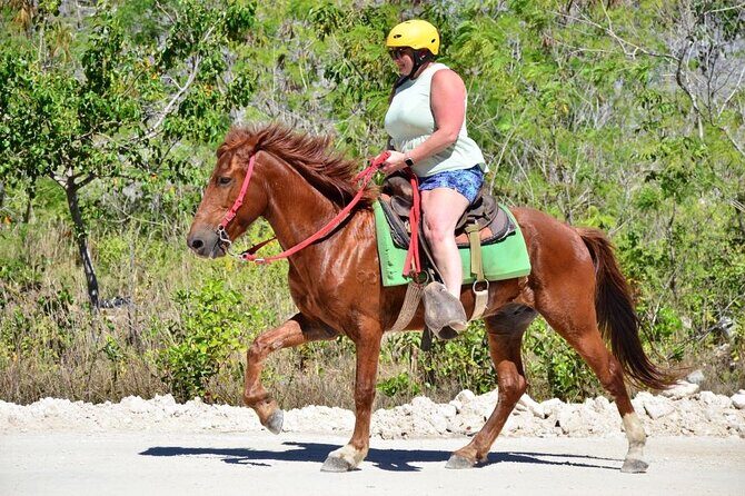 Horseback Riding on the Stunning Beaches of Punta Cana - The Experience and Its Strengths