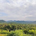 Horseback Riding Playa Larga - Who Will Love This Tour?