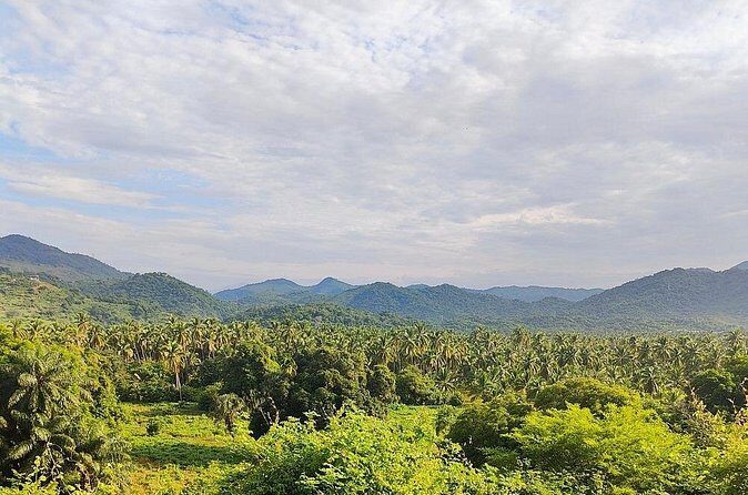 Horseback Riding Playa Larga - Who Will Love This Tour?